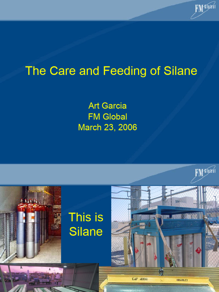The Care & Feeding of SiH4-FM Global | PDF | Valve | Fire Sprinkler System