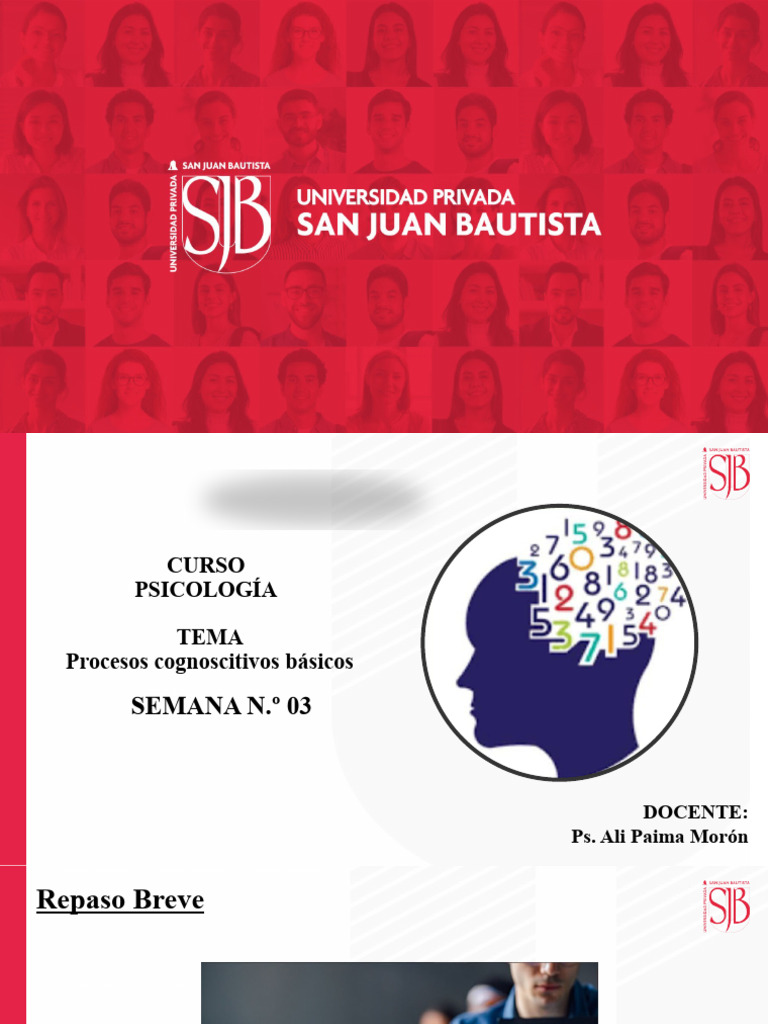 Clase 3 | Descargar gratis PDF | Percepción | Atención