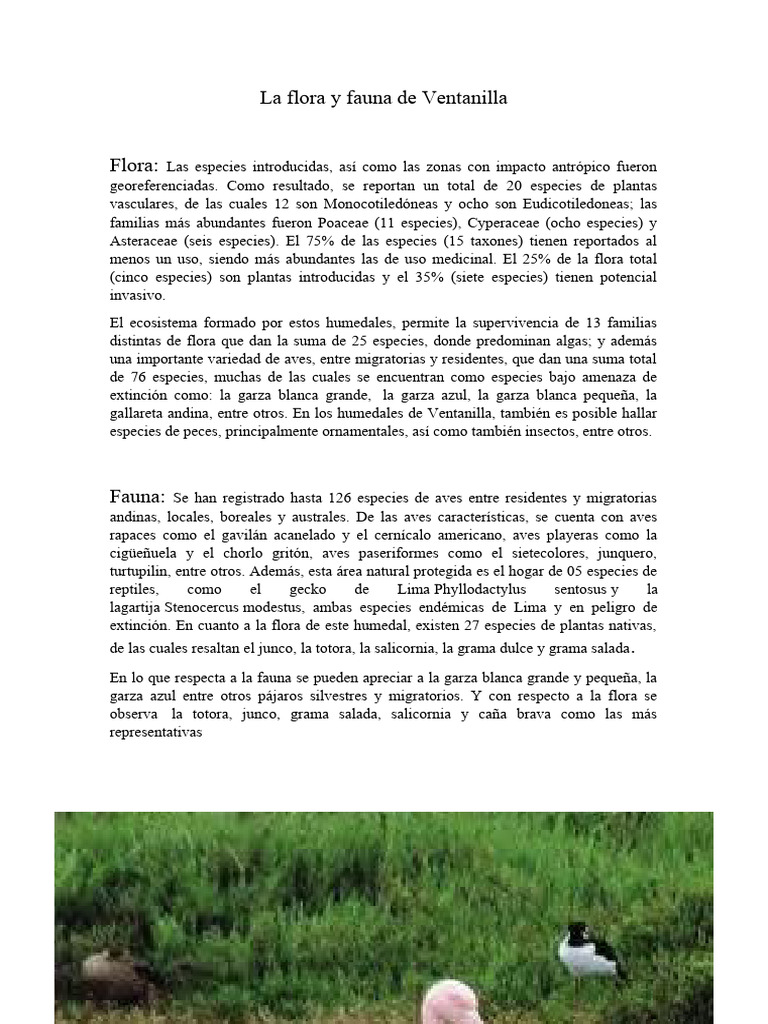 La Flora y Fauna de Ventanilla | PDF