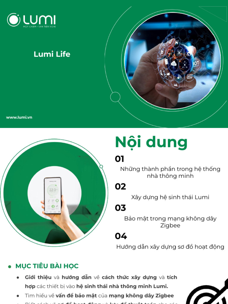 Bài 7 Lumi Life | PDF