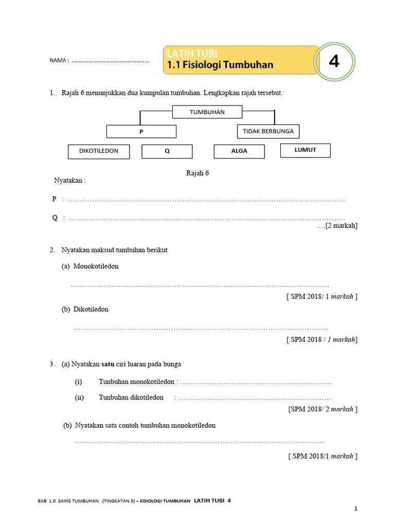 LAT 4 Unit 1.1 Fisiologi Tumbuhan | PDF