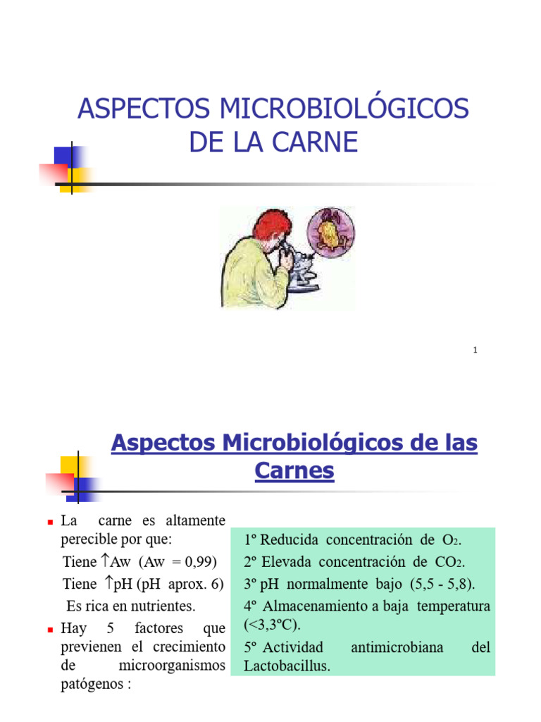 Aspectos Microbiológicos | PDF | Salud y bienestar