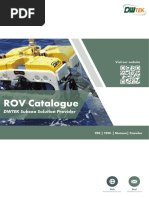 Seaeye Tiger ROV Overview and Specs | PDF