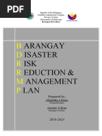 BDRRM Plan 2025 2027 v5 - 1 | PDF | Hazards | Risk