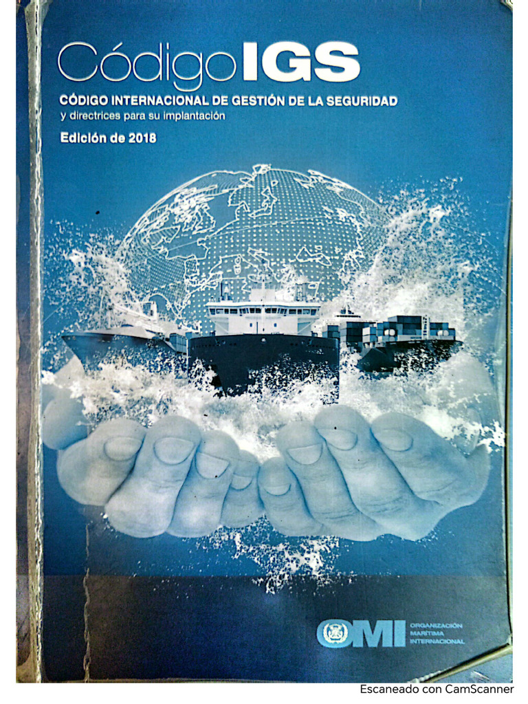 Codigo Igs PDF | PDF