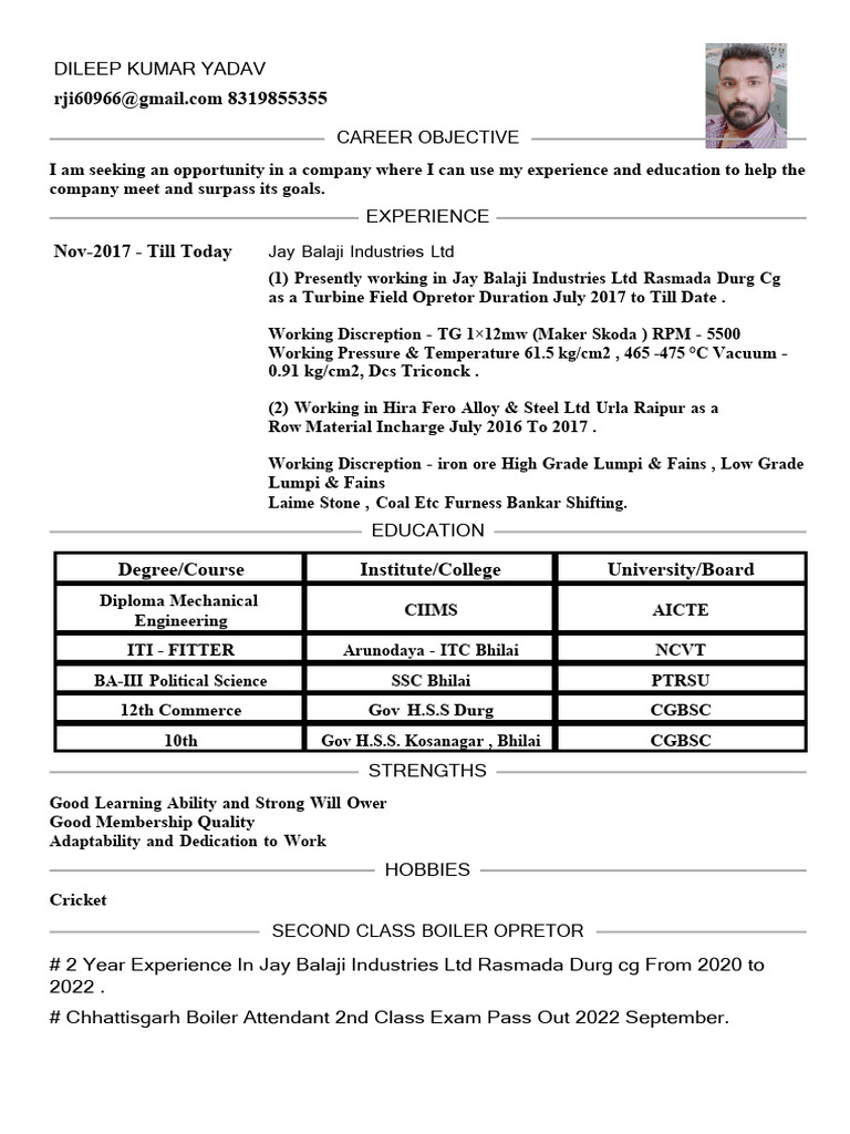 Resume DK Format3 | PDF | Materials