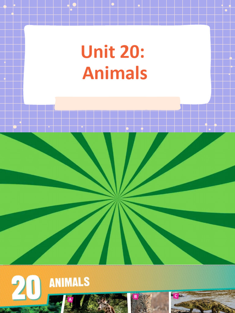 Unit 20 - Animals - Prepare A1 | PDF | Clothing | Fashion