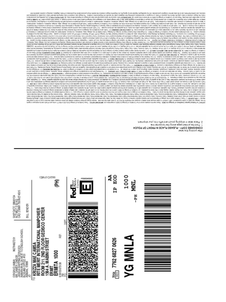 FedEx Shipping Label | PDF | Fed Ex