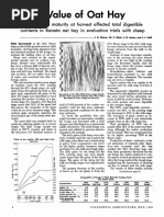 Oats as Cattle Feed: Benefits and Guidelines | PDF | Oat | Hay
