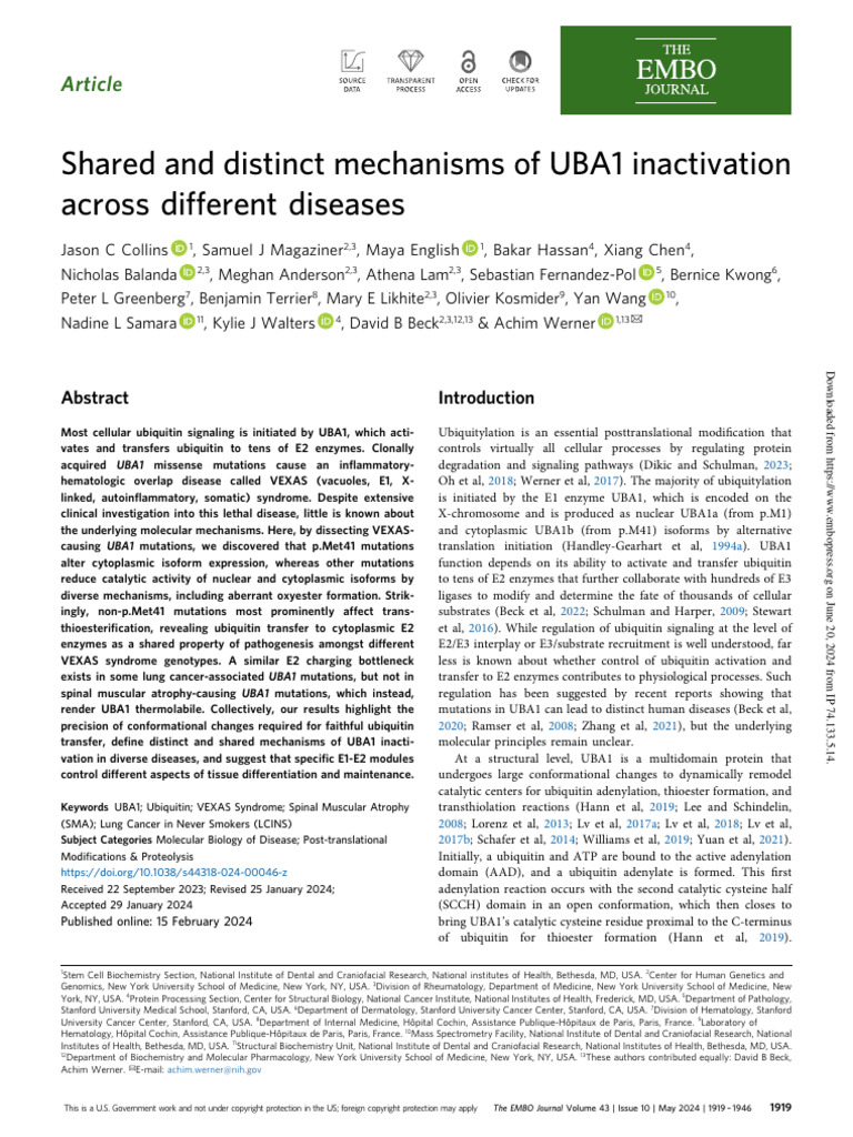Collins Et Al 2024 Shared and Distinct Mechanisms of Uba1 Inactivation ...