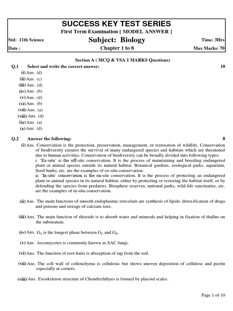 First Term Exam Bio Answer Key | PDF | Endoplasmic Reticulum | Leaf