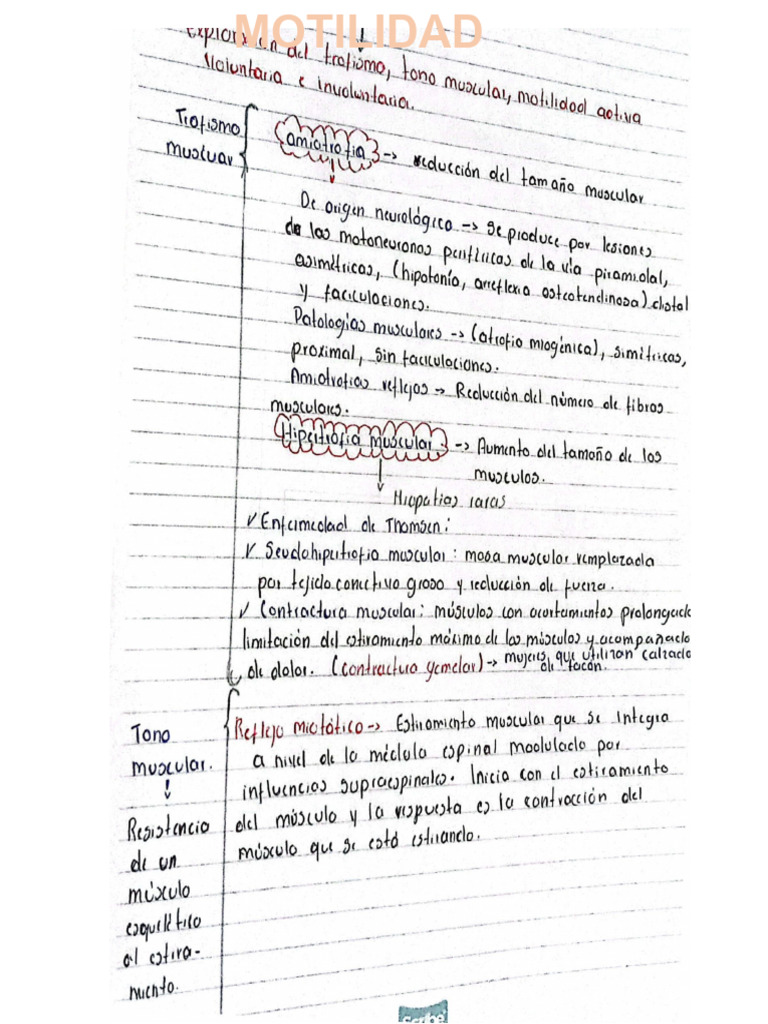 Semiologia, Motilidad y Sensibilidad | PDF | Médula espinal | Mano