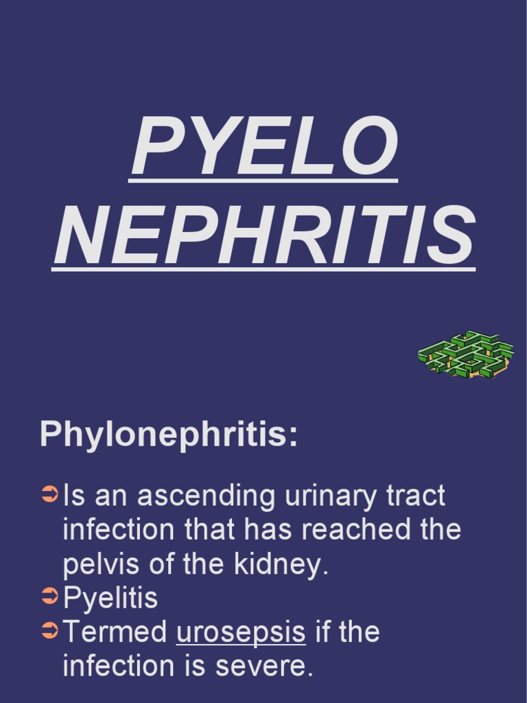 Pyelonephritis: Symptoms, Diagnosis, Treatment | PDF