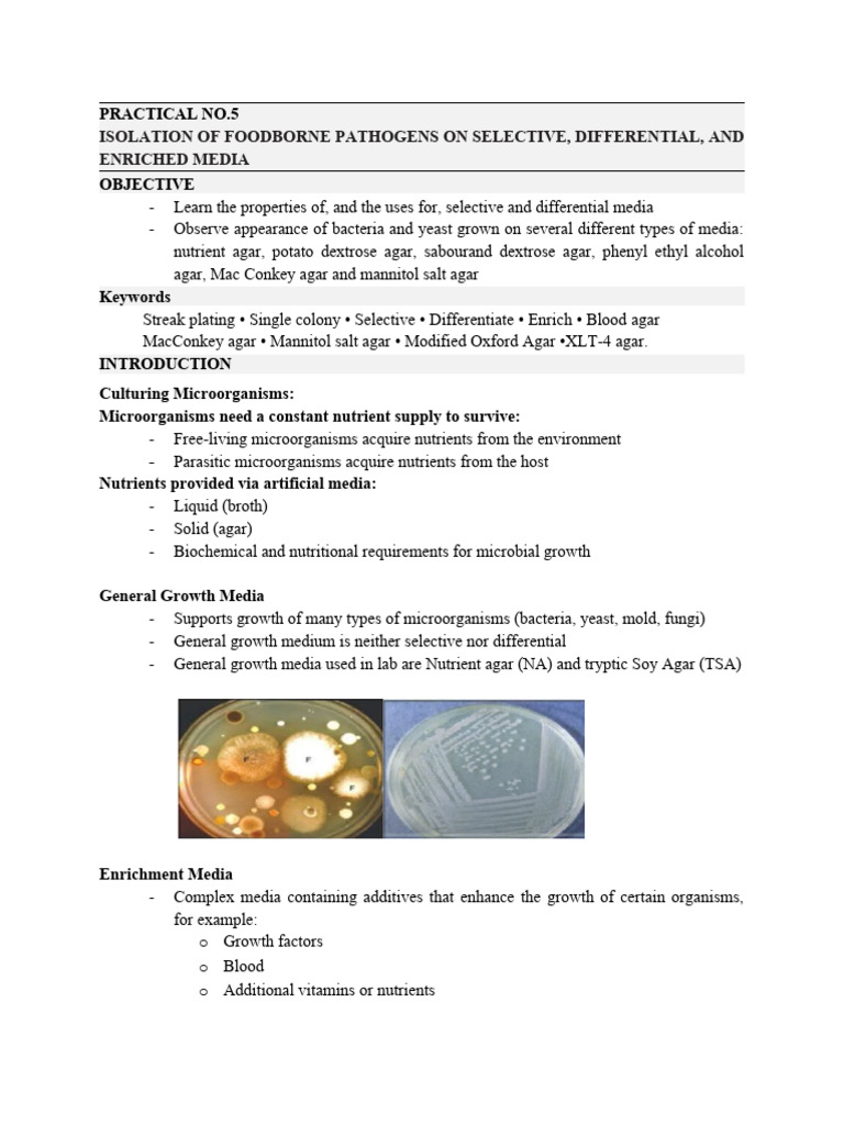 Practical 5 AFM-media | PDF | Growth Medium | Bacteria