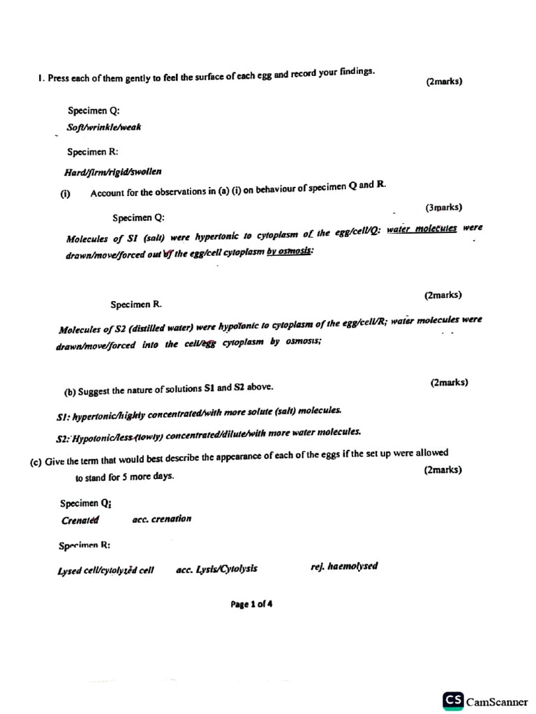 Shooting Stars Bio Paper 3 Schemes | PDF | Claw | Predation