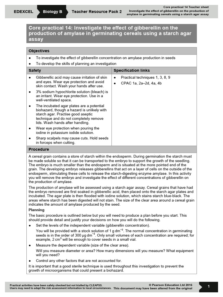 AS-and-A-level-Biology-B-Core-Practical-14-Starch-Agar-Assay - (Student ...