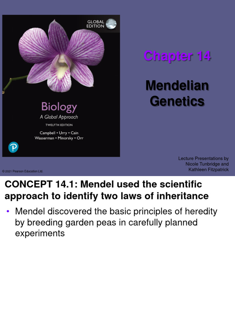 Mendelian Genetics Lecture Slides | PDF | Dominance (Genetics) | Zygosity