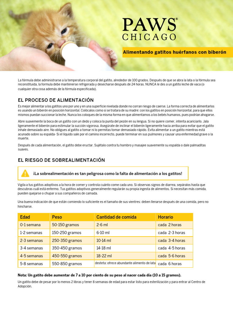 PAWS Chicago Bottle Feeding Kittens SPANISH 2021 | PDF