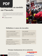 Comprendre le triangle du feu | PDF | La combustion | Combustible