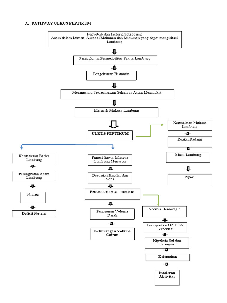 Pathway Ulkus Peptikum | PDF