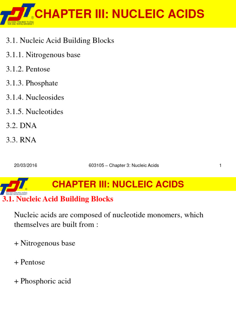 603105-Chapter 3 - Nucleic Acid | PDF | Rna | Nucleic Acids