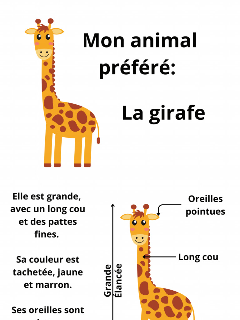 Présentation Niveau Maternelle (Montre Et Raconte) La Girafe | PDF