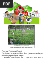 Breeds of Goats | PDF