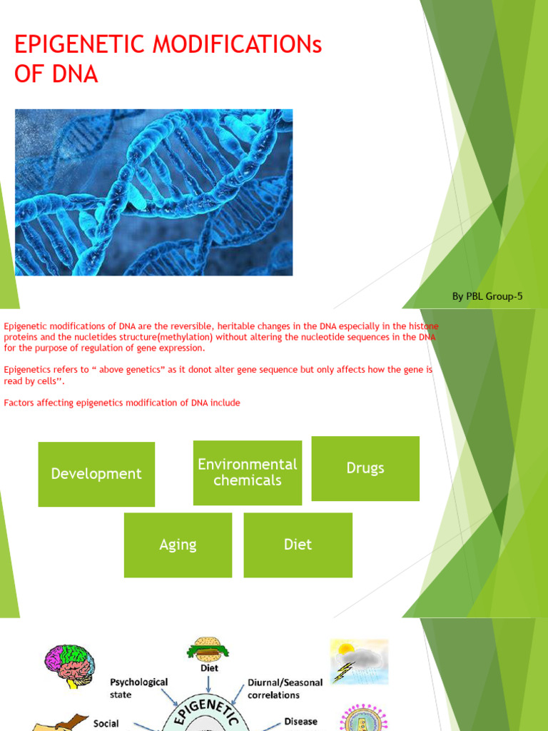 PBL! | PDF | Epigenetics | Dna Methylation
