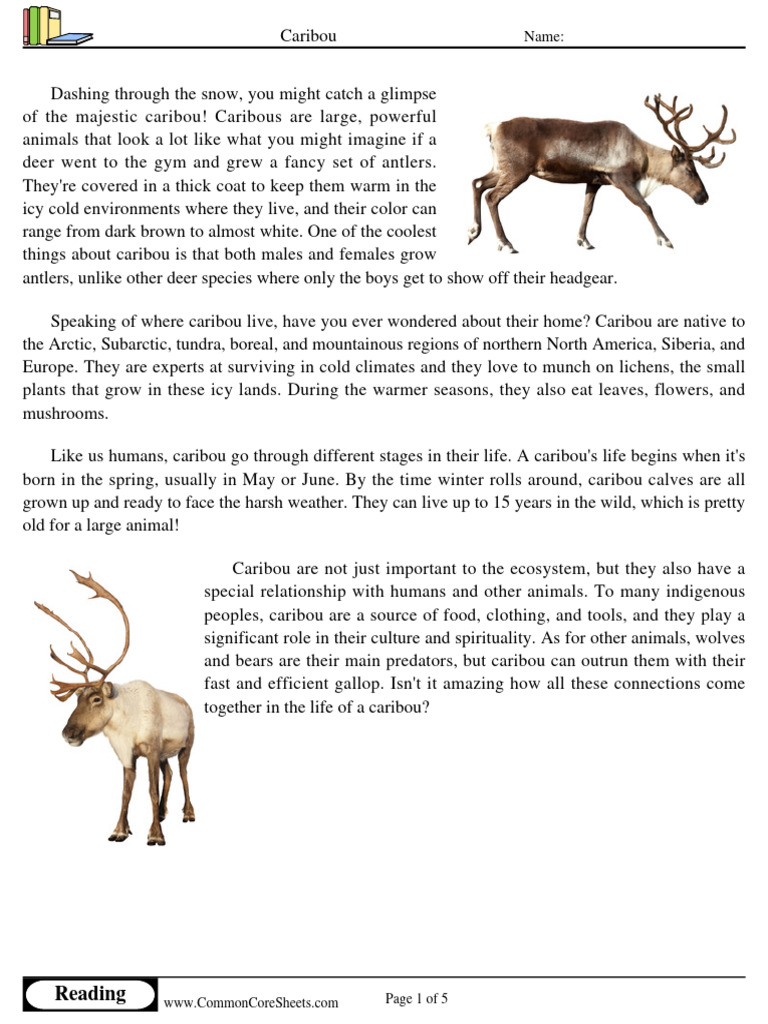 Comprehension | PDF | Reindeer | Deer