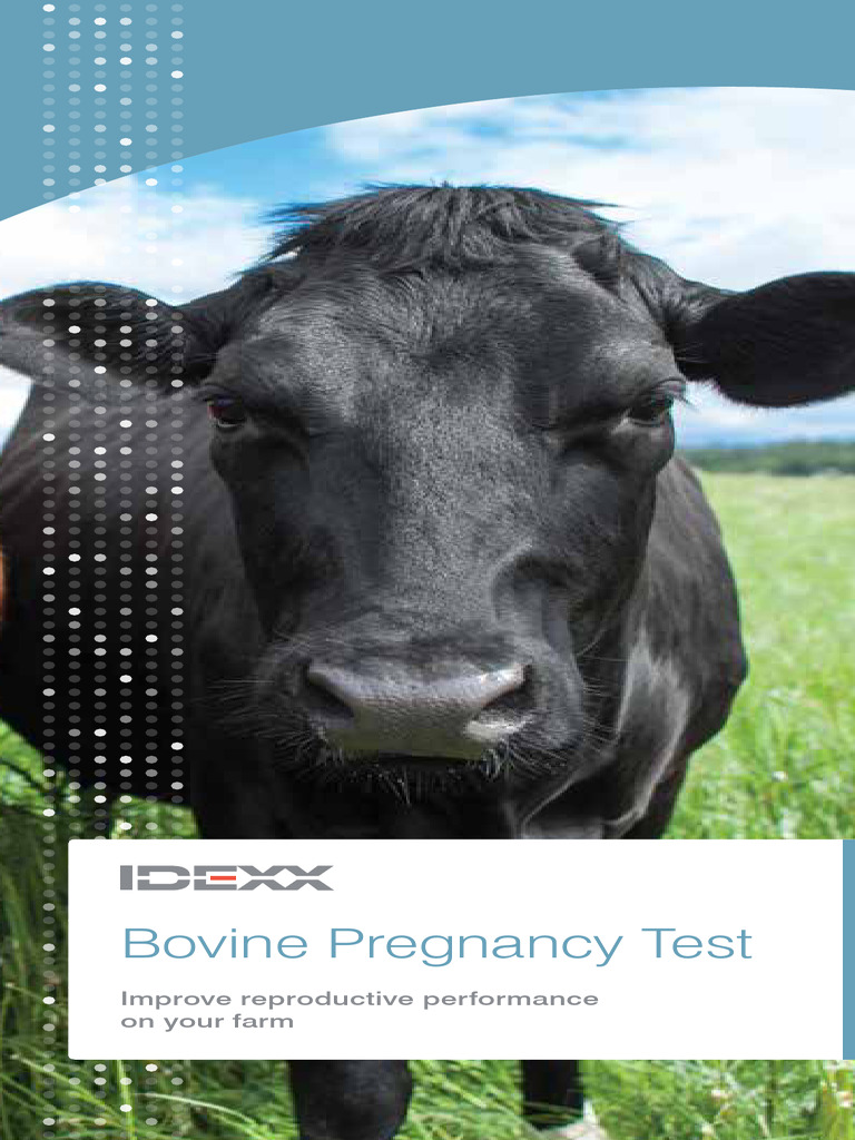 Bovine Pregnancy Testing for Farms | PDF | Cattle | Health Sciences