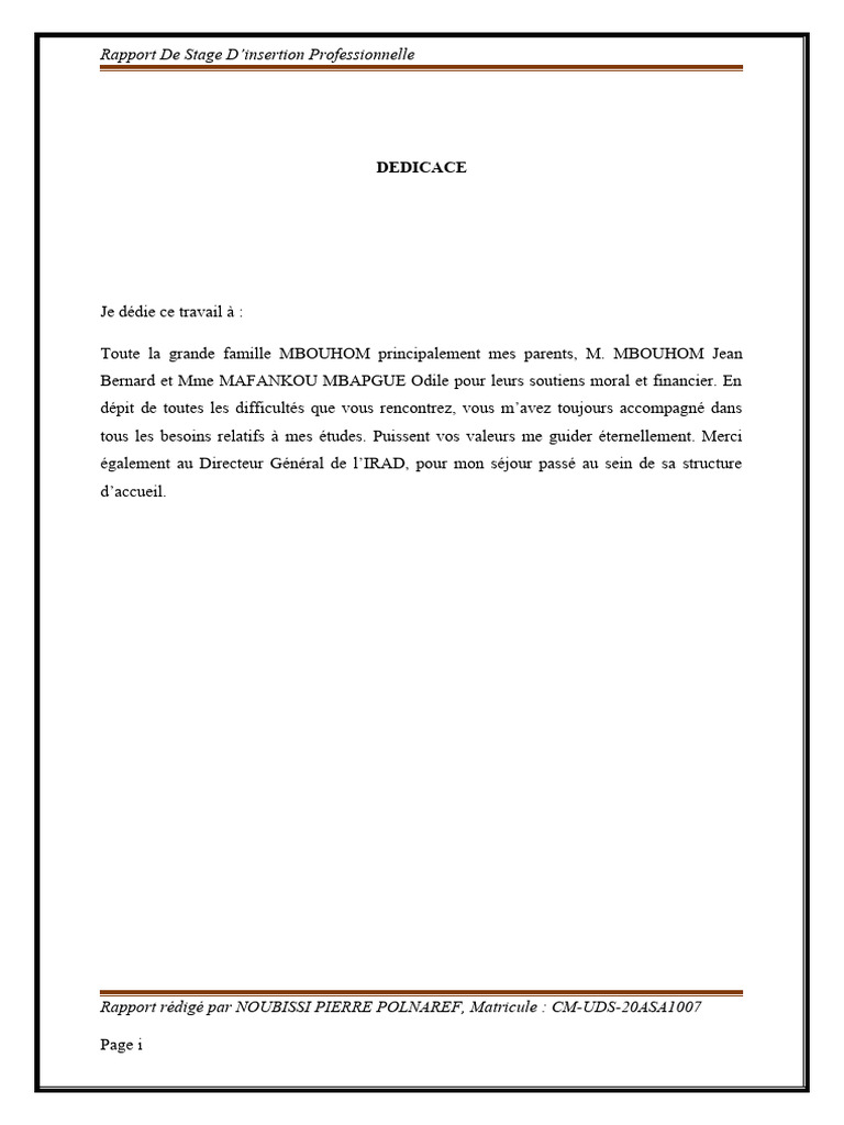 Début Rapport de Stage de Pré-Insertion Proféssionnellle Niveau 4 (Récupéré) | PDF ...