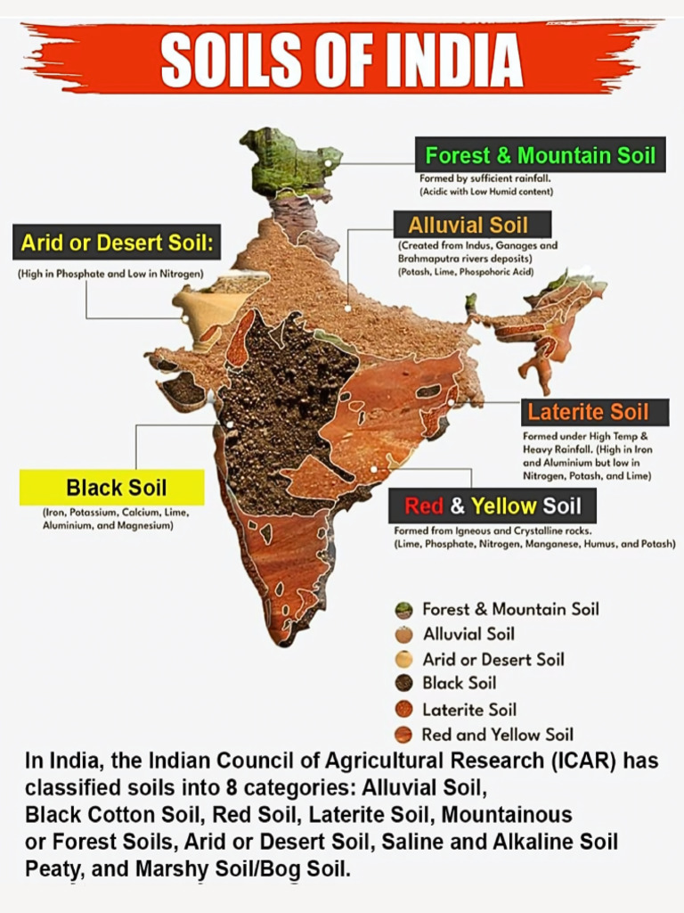 MAjor Soils of INDIA | PDF
