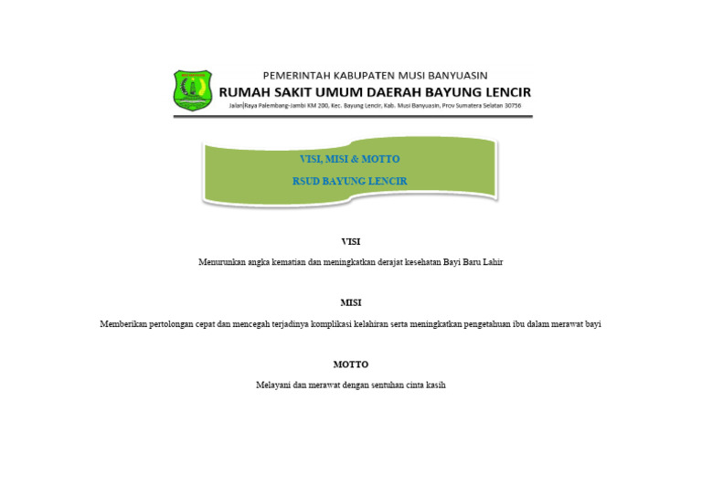 Kesehatan Bayi di RSUD Bayung Lencir | PDF | Kesehatan Holistik