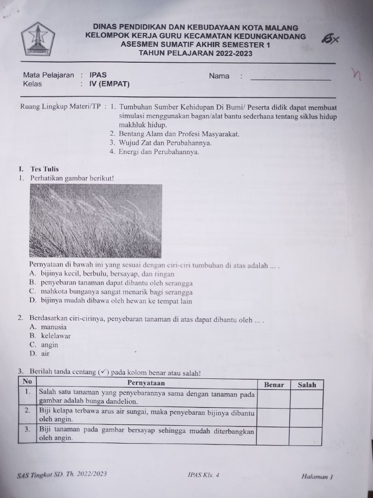 Sas 1 Ipas 2022 | PDF