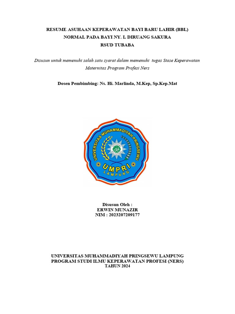 Resume Bayi Baru Lahir (BBL) Erwin | PDF