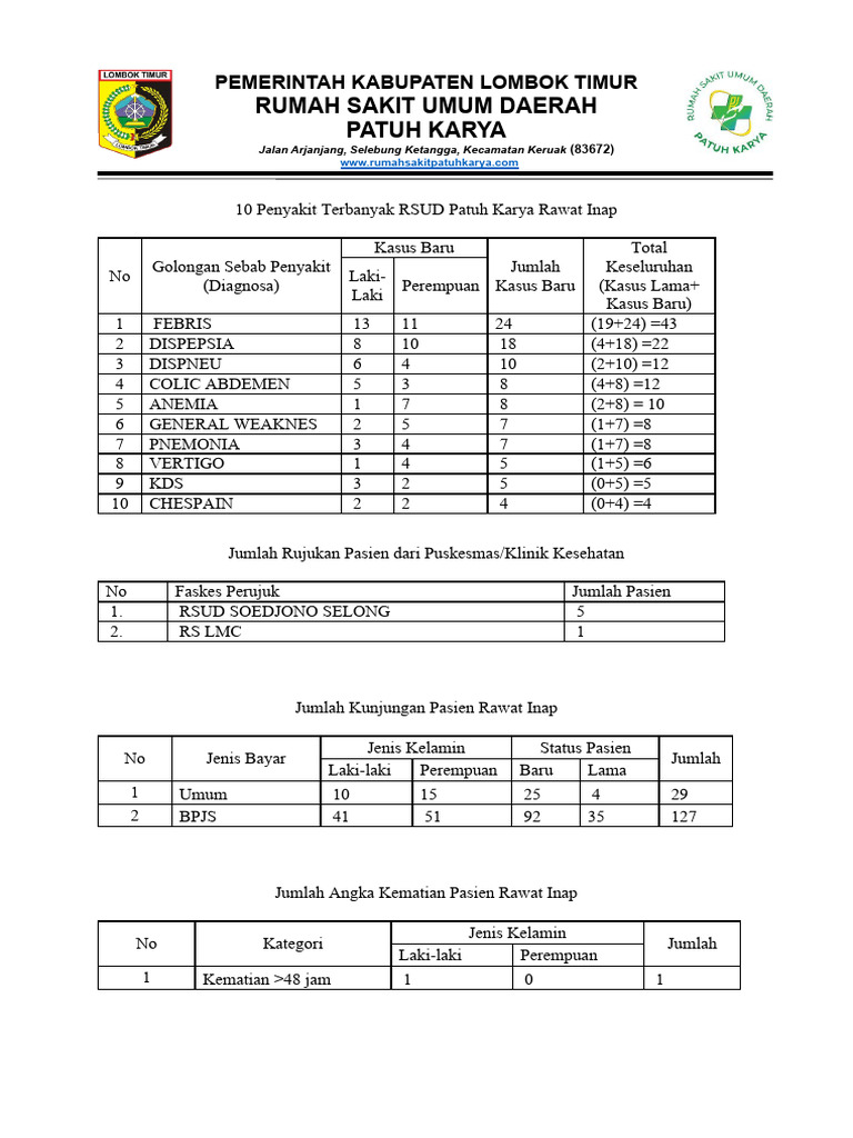 Laporan Penyakit Ranap April 2024 | PDF