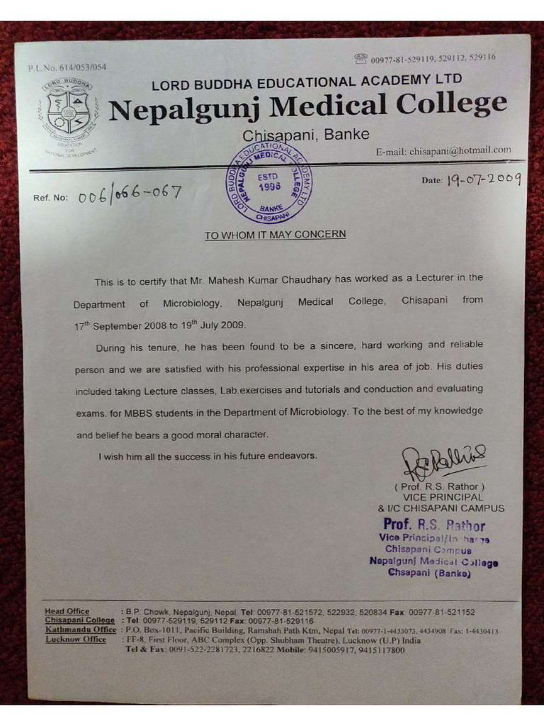 Experience Letter NMC | PDF