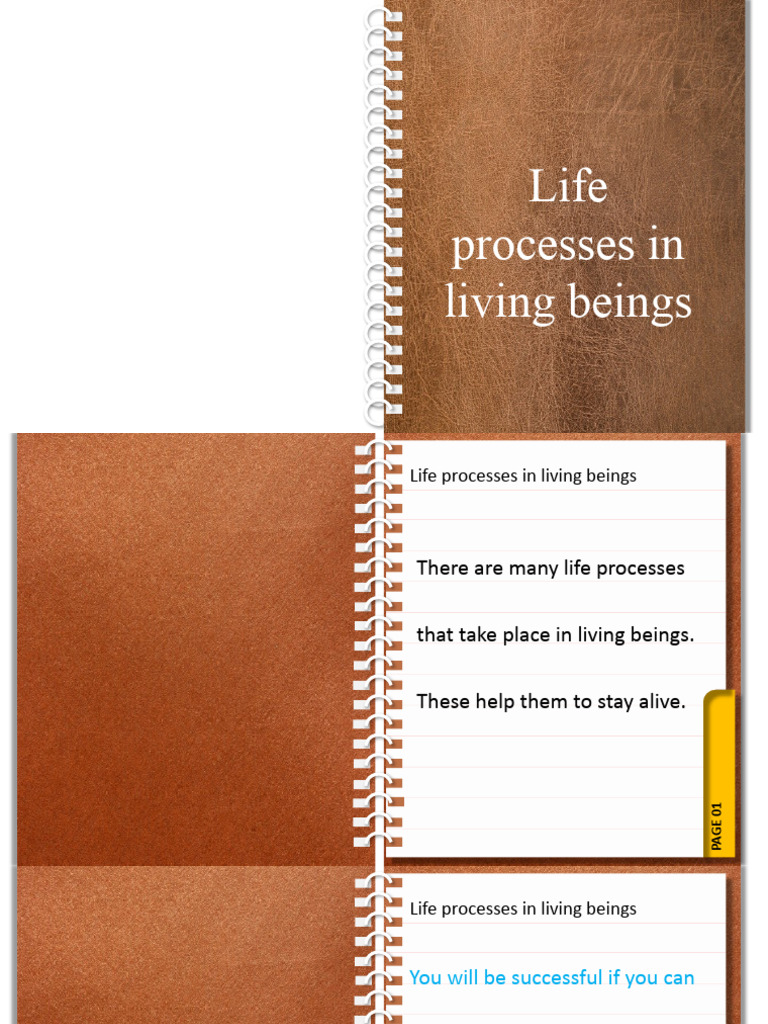 Sci Life Process of Living Beings Reproduction | PDF | Self-Improvement ...