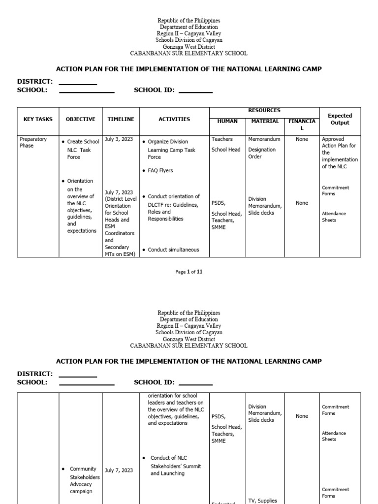 NLC Action Plan Template | PDF