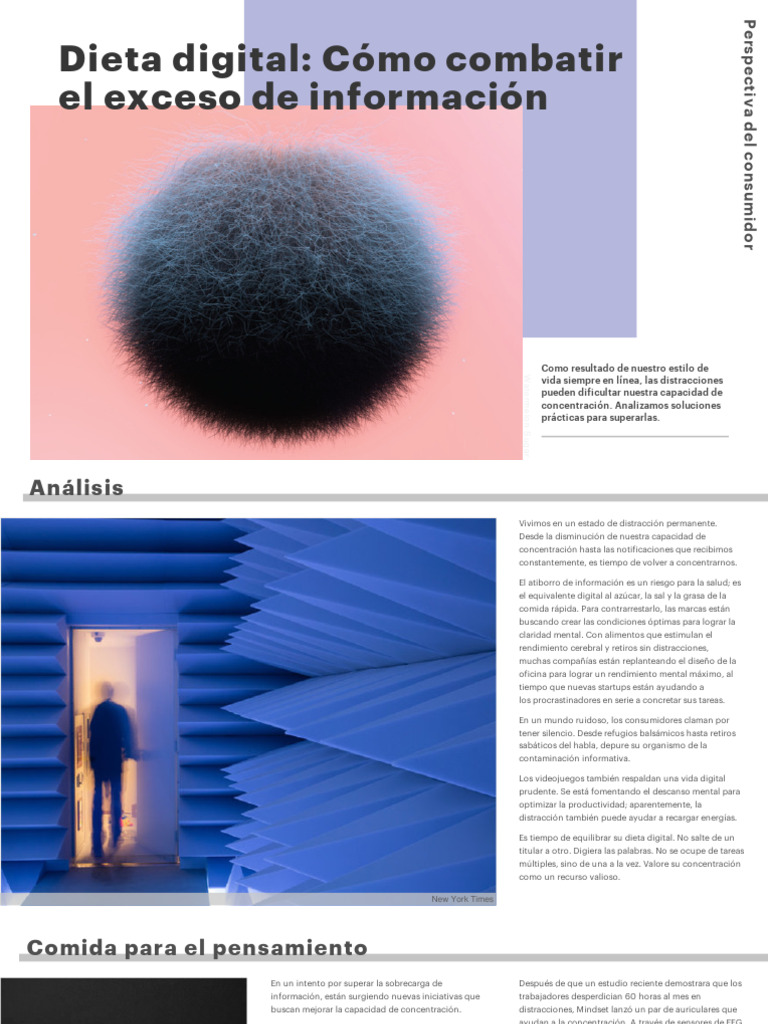 Dieta Digital Cómo Combatir El Exceso de Información | PDF | Mente | Dieta