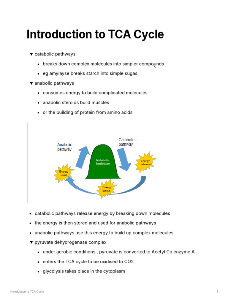 Introduction To TCA Cycle | PDF | Citric Acid Cycle | Chemistry