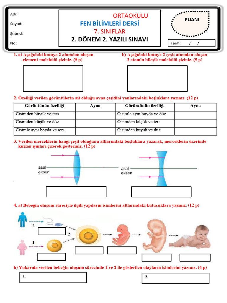 7 Sinif Fen Bilimleri Yazili Senaryo 1 Ve Cevap Anahtari 4 | PDF