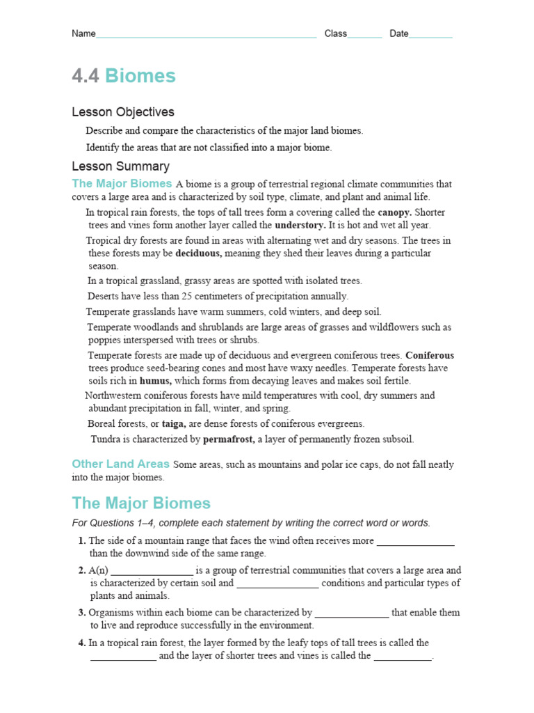 CH04 L04 Lesson Review Workbook A | PDF | Forests | Trees