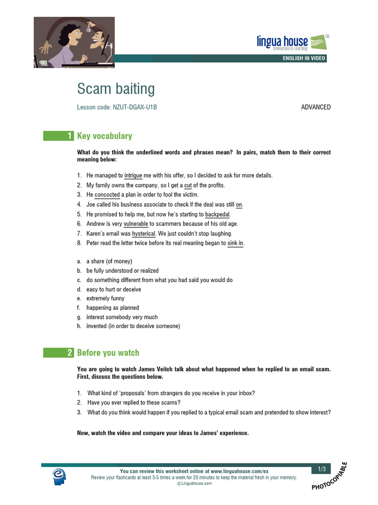 Scam Baiting | PDF
