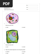 Year 7 Plant Cell Worksheet | PDF