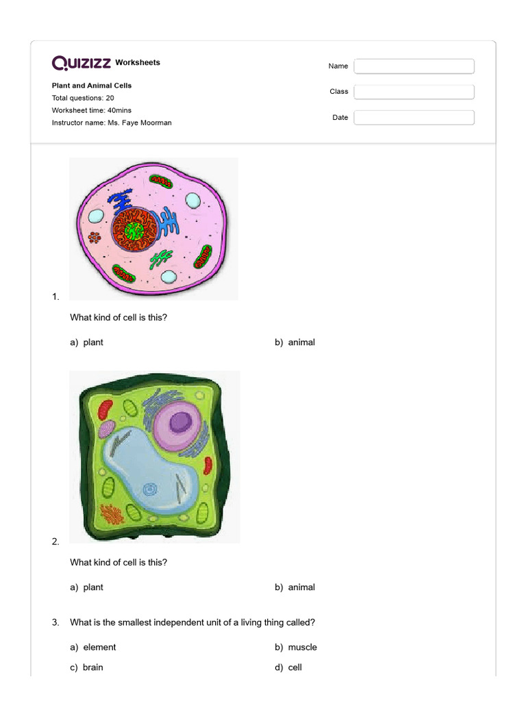 Plant and Animal Cells - Quizizz | PDF | Cell (Biology) | Vacuole