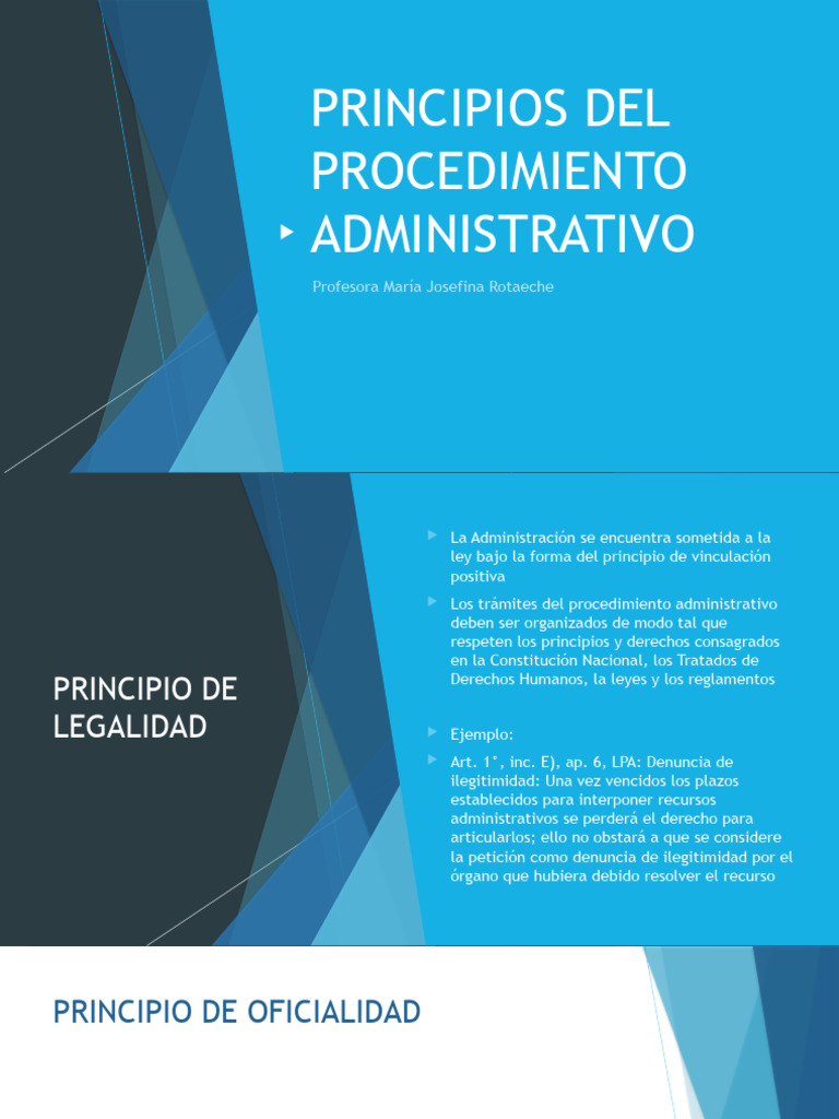 Principios Del Procedimiento Administrativo | PDF | Debido al proceso | Gobierno