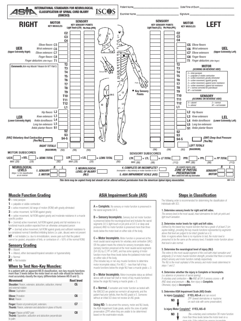 ASIA Spinal Cord Score Sheet - 240521 - 110525 | PDF | Limbs (Anatomy ...