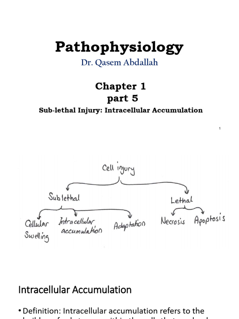 Intracellular Accumulation in Pathophysiology | PDF | Atherosclerosis ...
