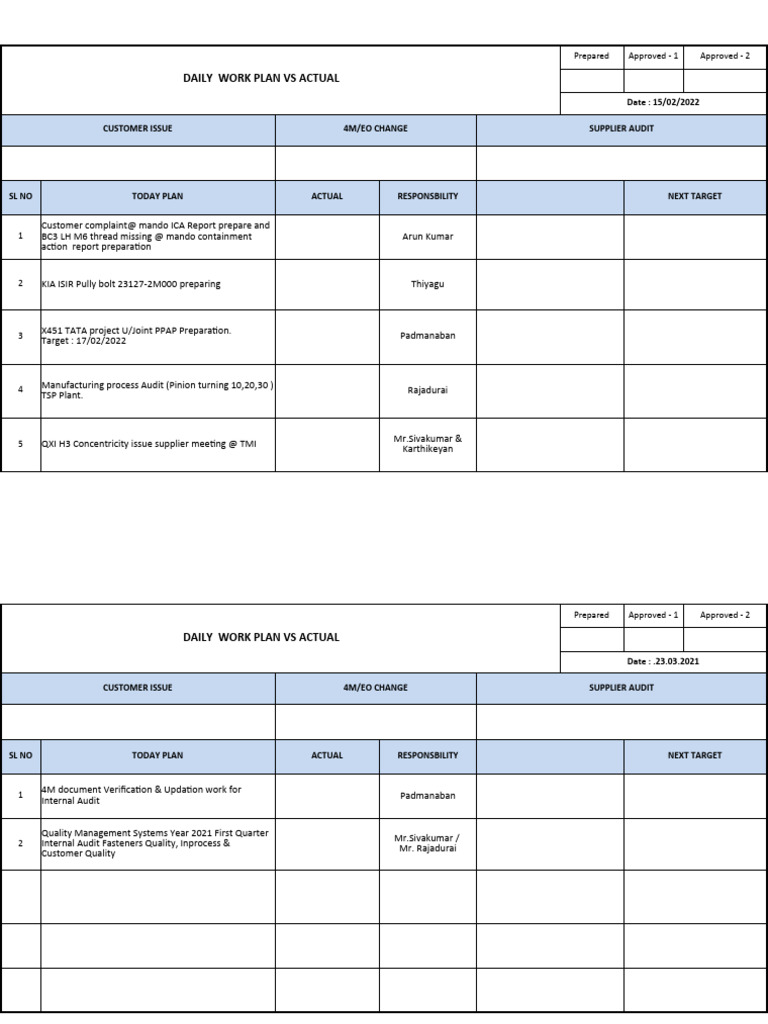 11 Daily Work Plan 1 | PDF | Business Process | Production And Manufacturing